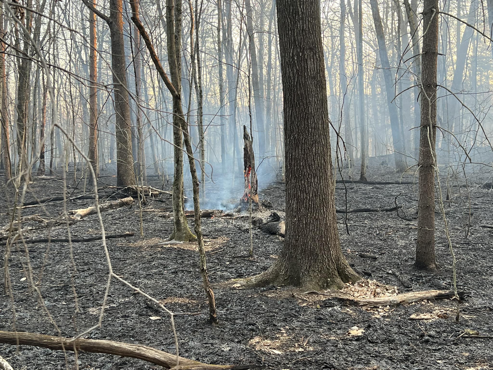 Open Burn Season Beings Jan. 15th - Franklin County Now