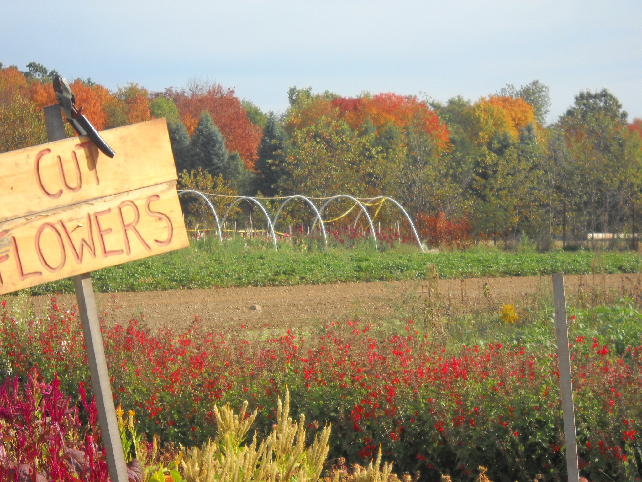 Four Alarm Fire Destroy’s Local Farm’s Barn And Store - Franklin County Now