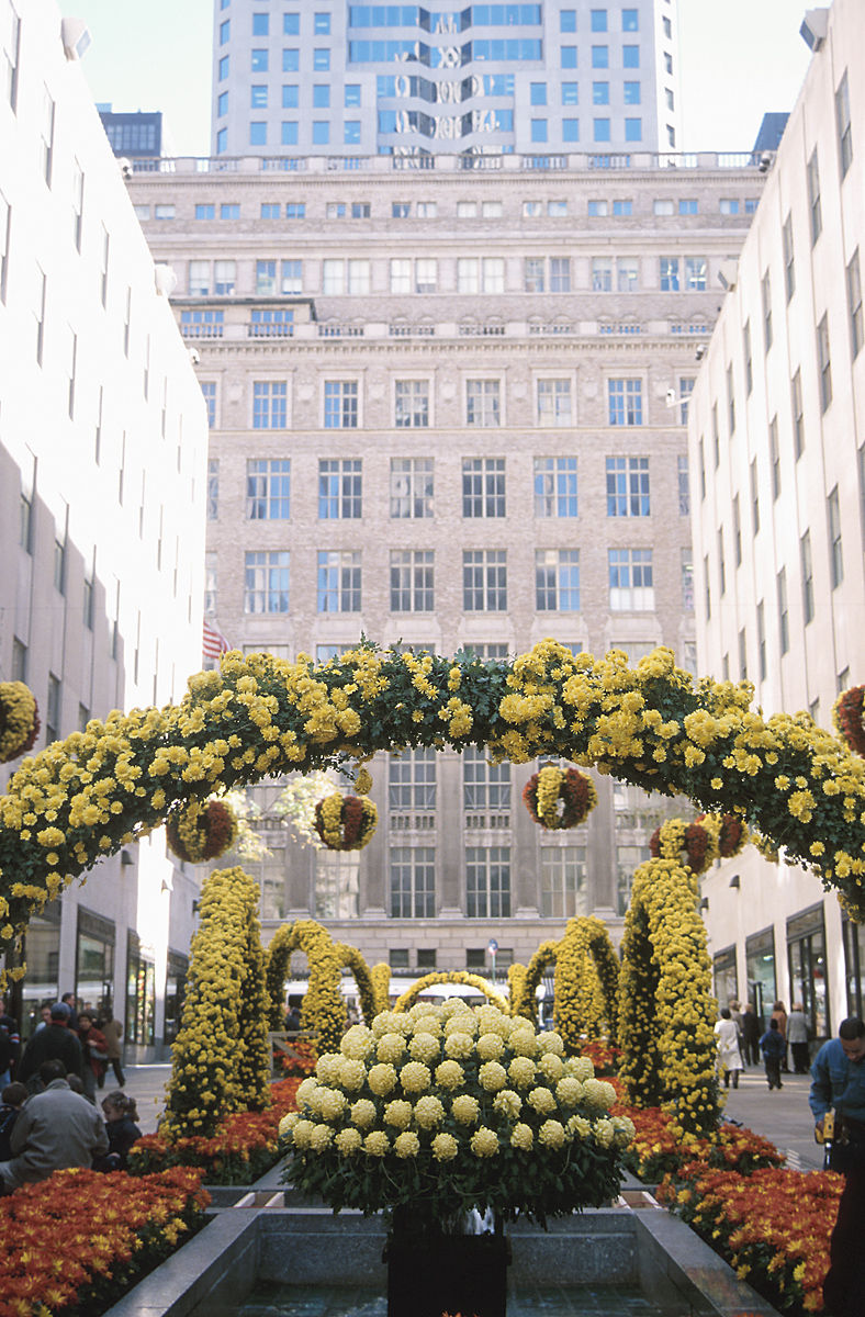 Rockefeller Tree on its way to NYC from Massachusetts - Franklin County Now
